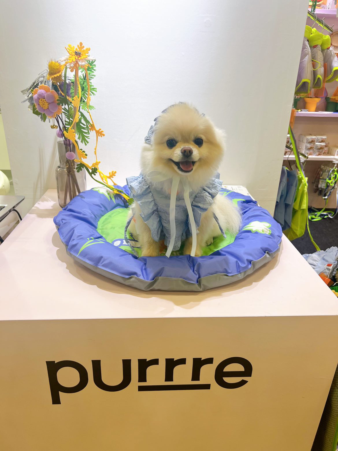 KOGO - 高品質なペット用品の提供-HIGH QUALITY-