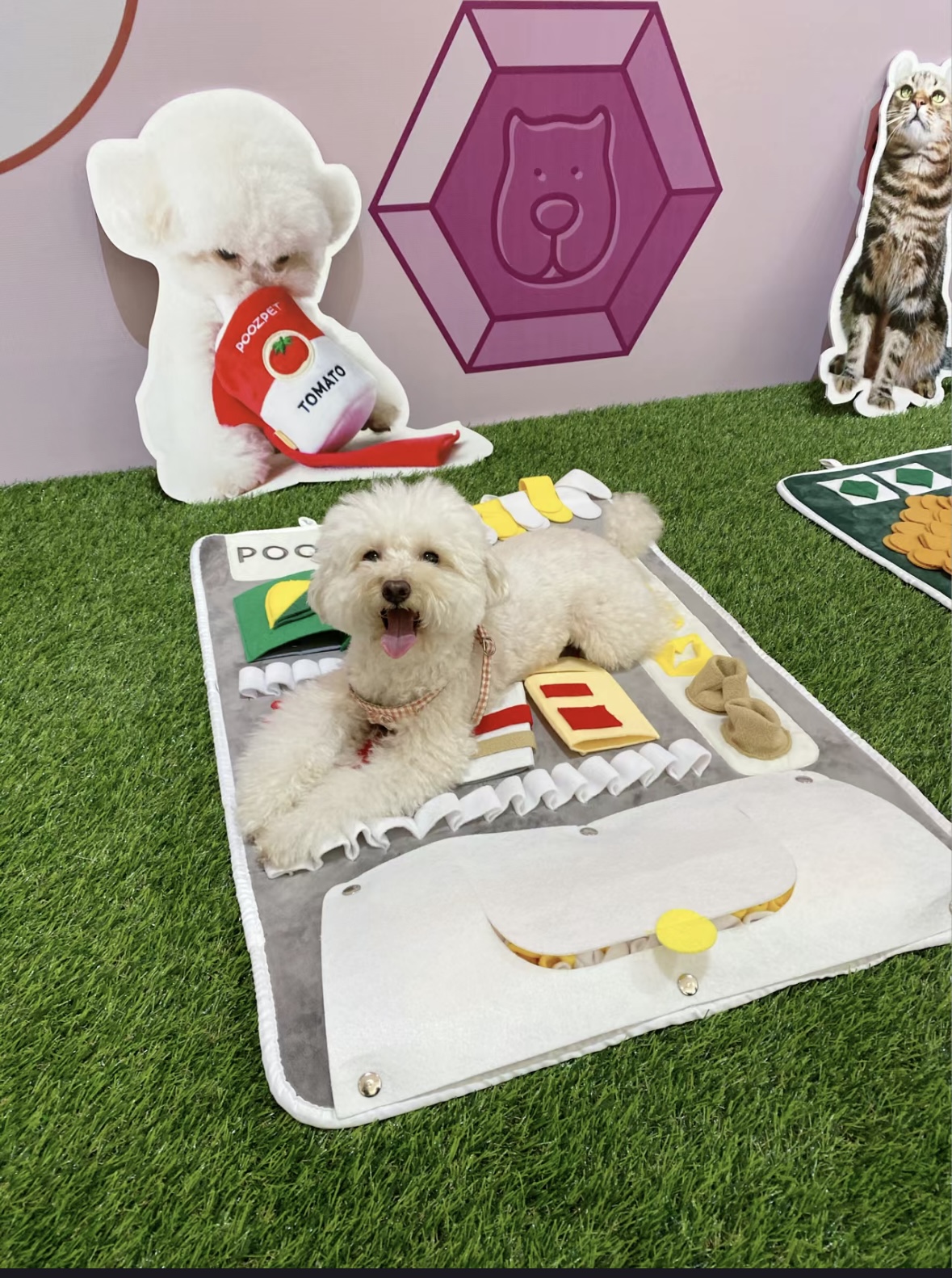 KOGO - 高品質なペット用品の提供-HIGH QUALITY-