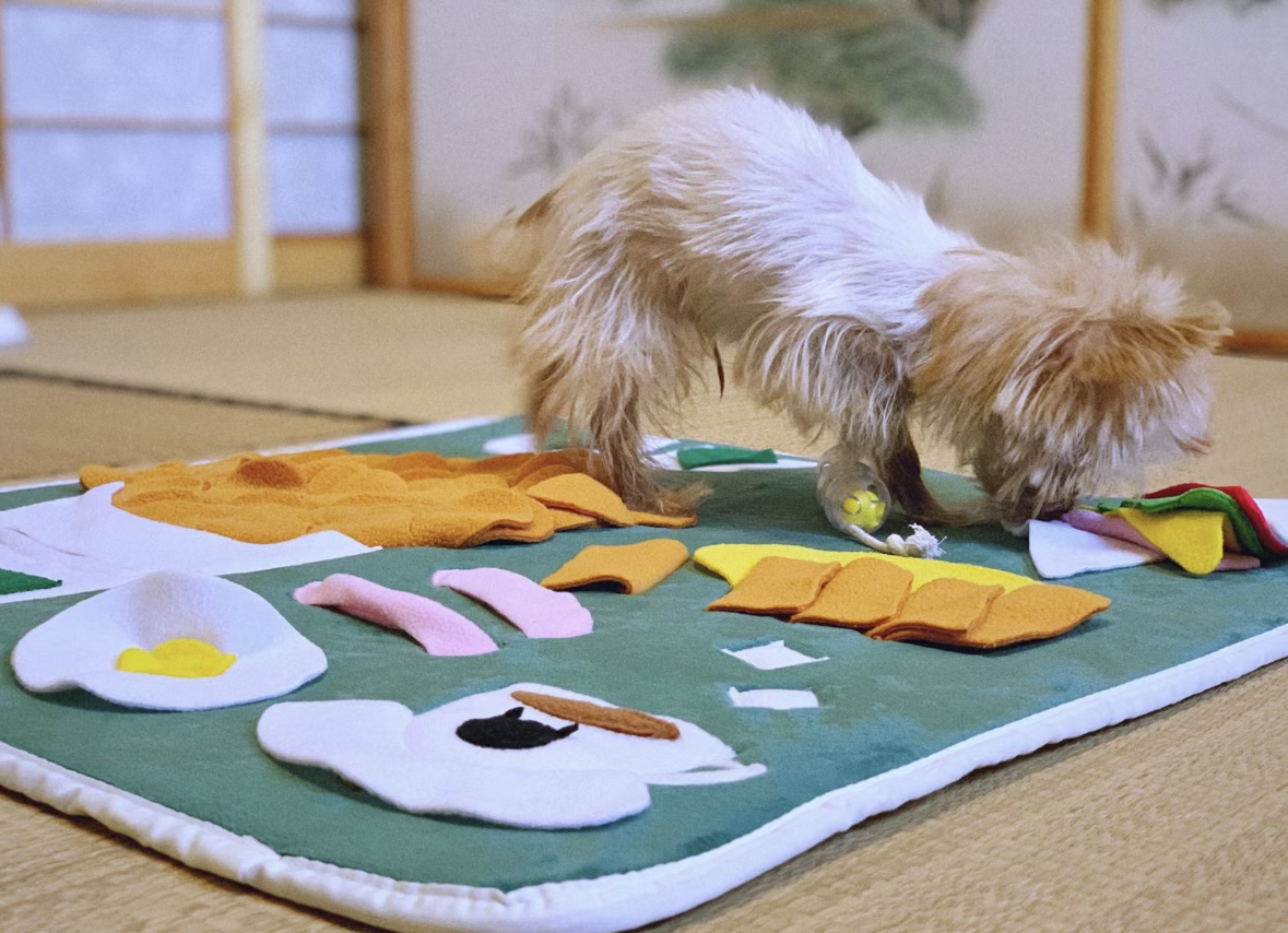 KOGO - 高品質なペット用品の提供-HIGH QUALITY-