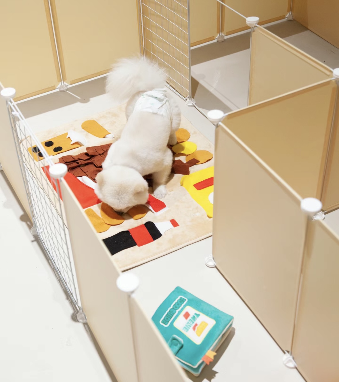 KOGO - 高品質なペット用品の提供-HIGH QUALITY-