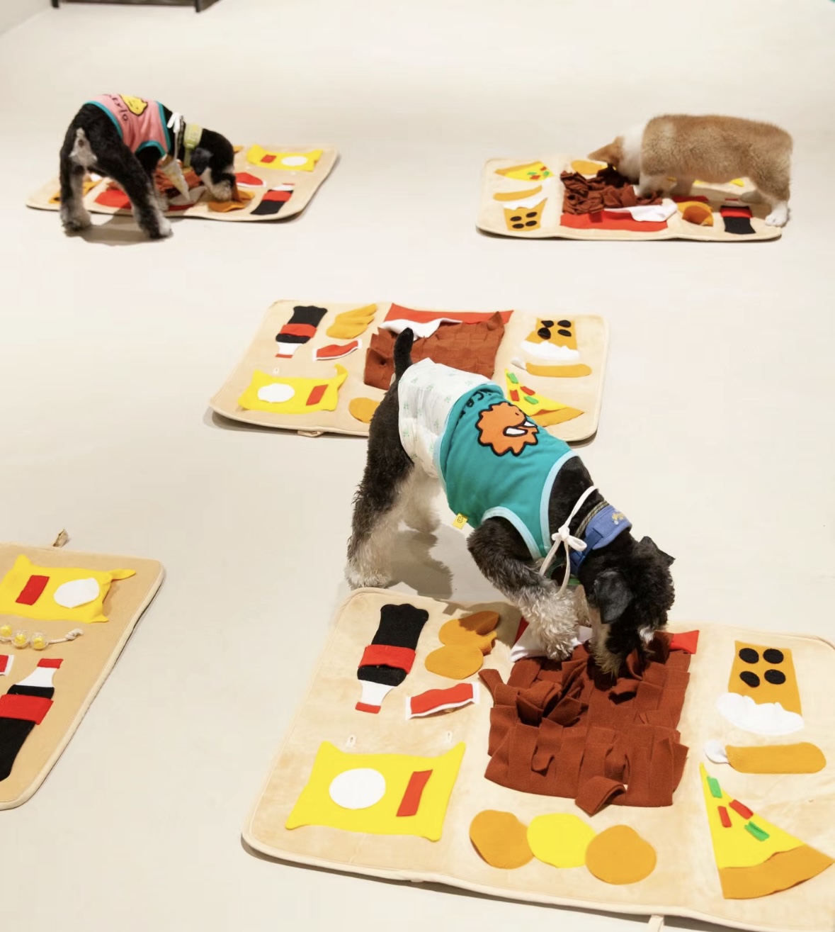 KOGO - 高品質なペット用品の提供-HIGH QUALITY-