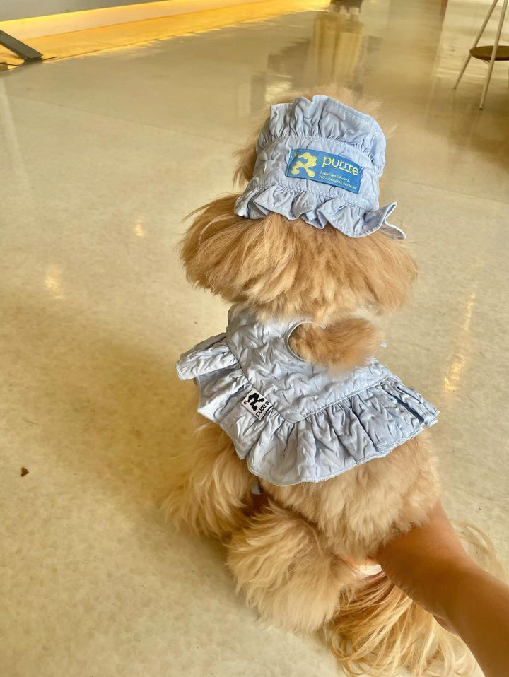 KOGO - 高品質なペット用品の提供-HIGH QUALITY-